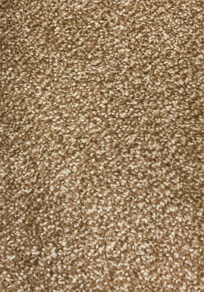 nutmeg - Speedy Carpets
