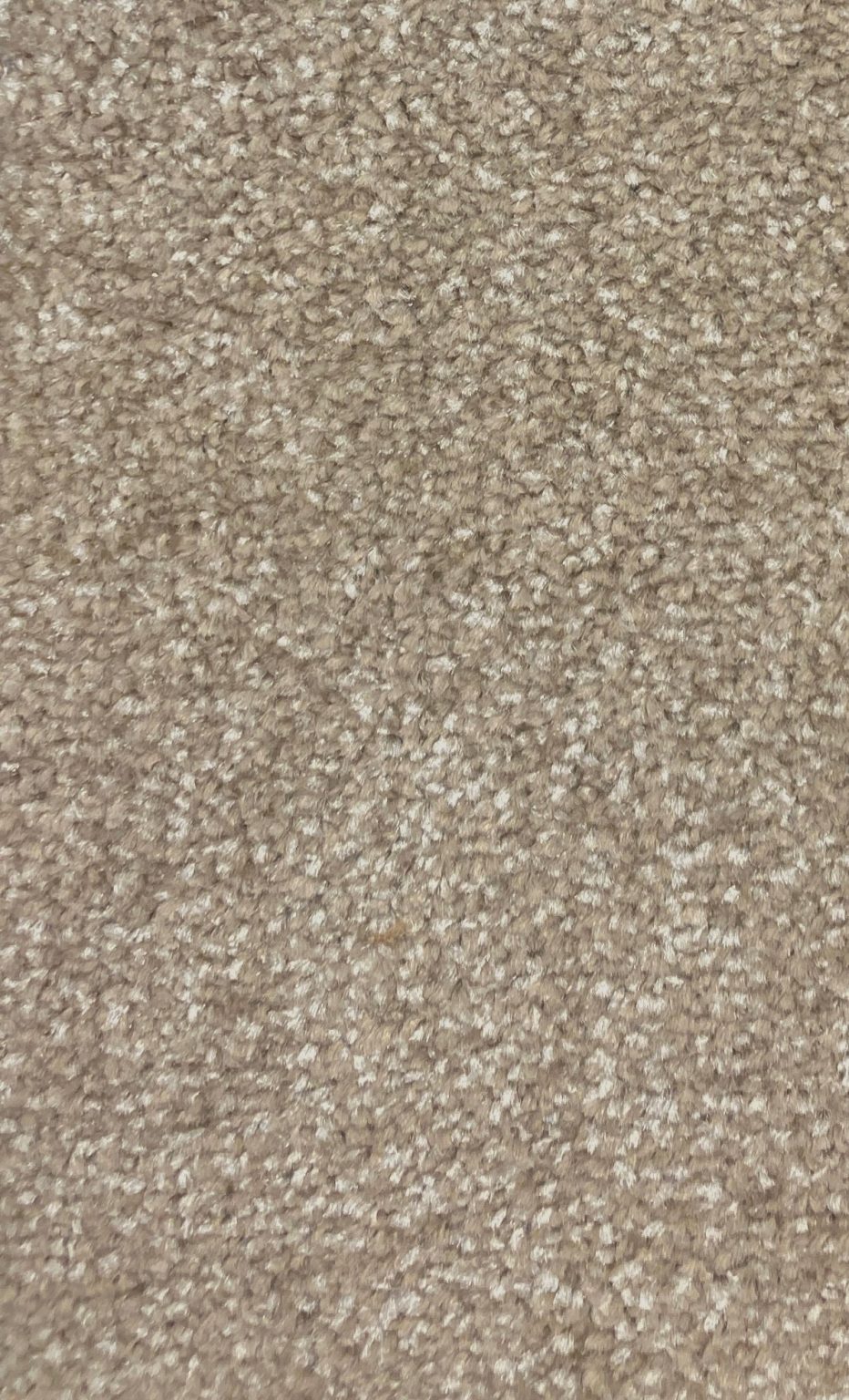 sandstone - Speedy Carpets